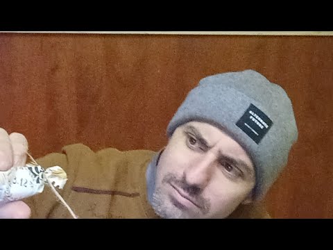 Francois - Calendrier De L'Avent - Les matins d'hiver - YouTube