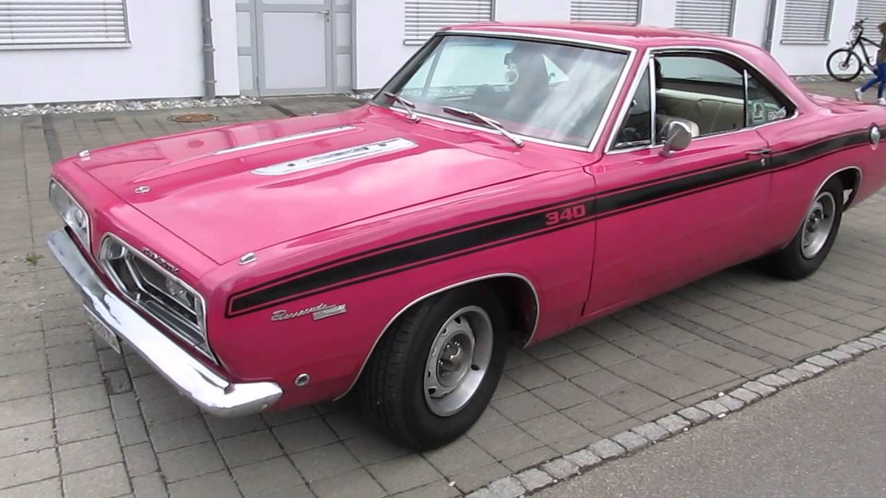 Panther Pink Barracuda