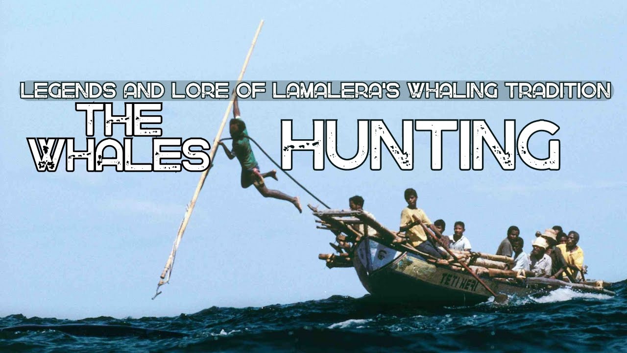 Lamalera's Whale Hunters : A Glimpse into Indonesia's Traditional ...