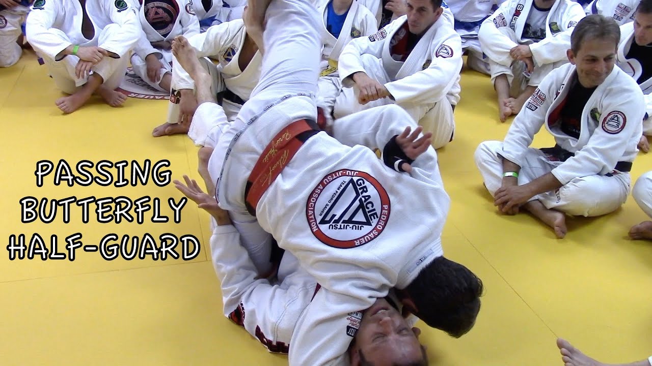 BUTTERFLY HALF-GUARD PASS with Master Pedro Sauer - YouTube