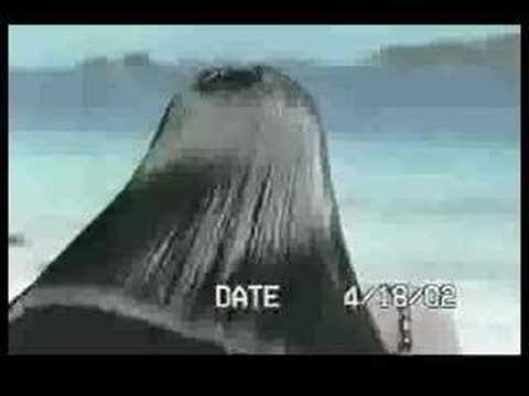 Palmolive Shampoo Commercial - YouTube