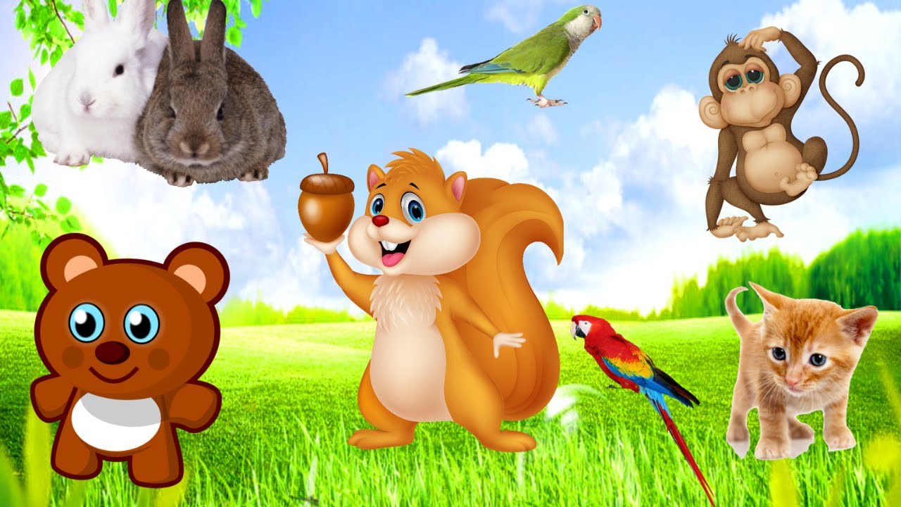 Farm Animal Sounds. Wild Animals| - YouTube