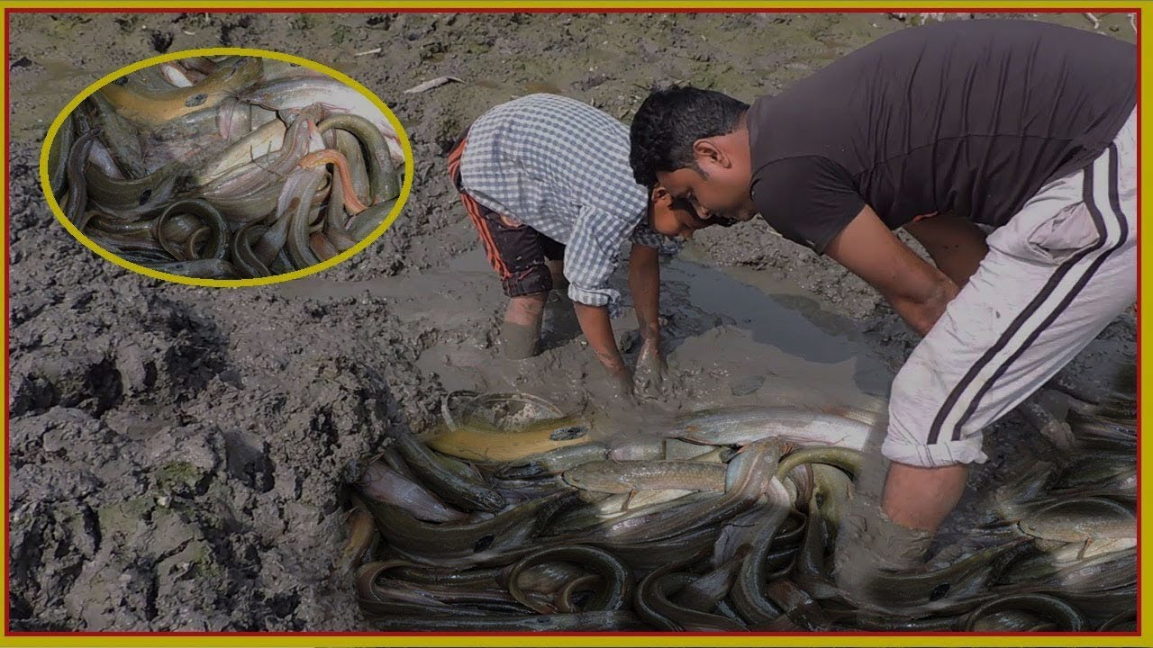 Amazing Deep Hole Fishing - How To Fishing With Deep Hole - Children ...