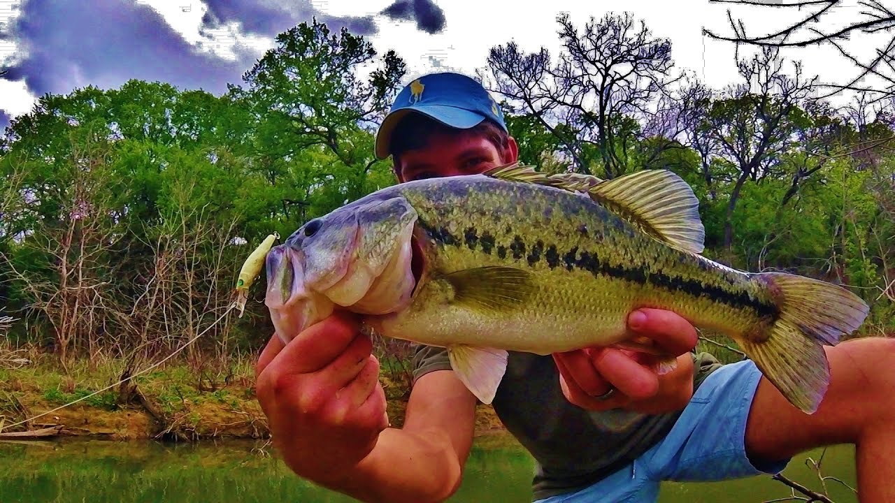Spotted Bass Nails Lure On Camera - Lure Size Selection For Bass! - YouTube