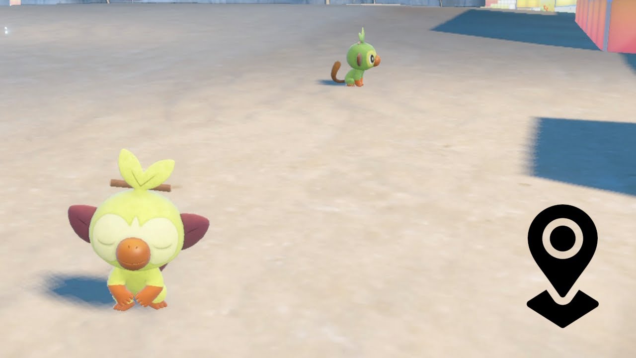 GROOKEY SHINY - UBICACIÓN PERFECTA Farmeo Sin Movernos / Aparición ...