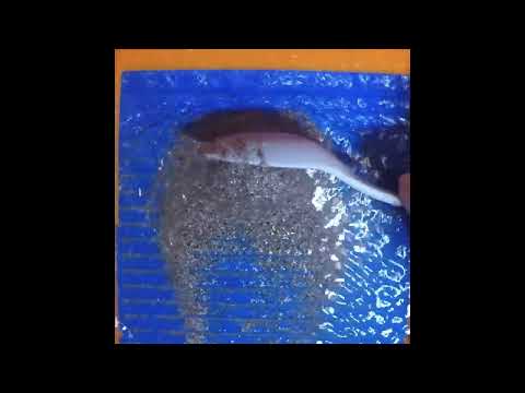 3d printed "Gold Cube" cleanup sluice - YouTube