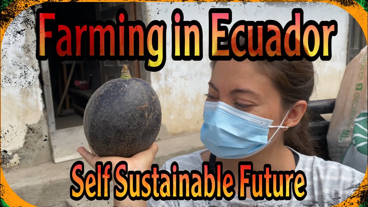 The Farm in Ecuador - High Elevation Tropical Farming and Our Self ...