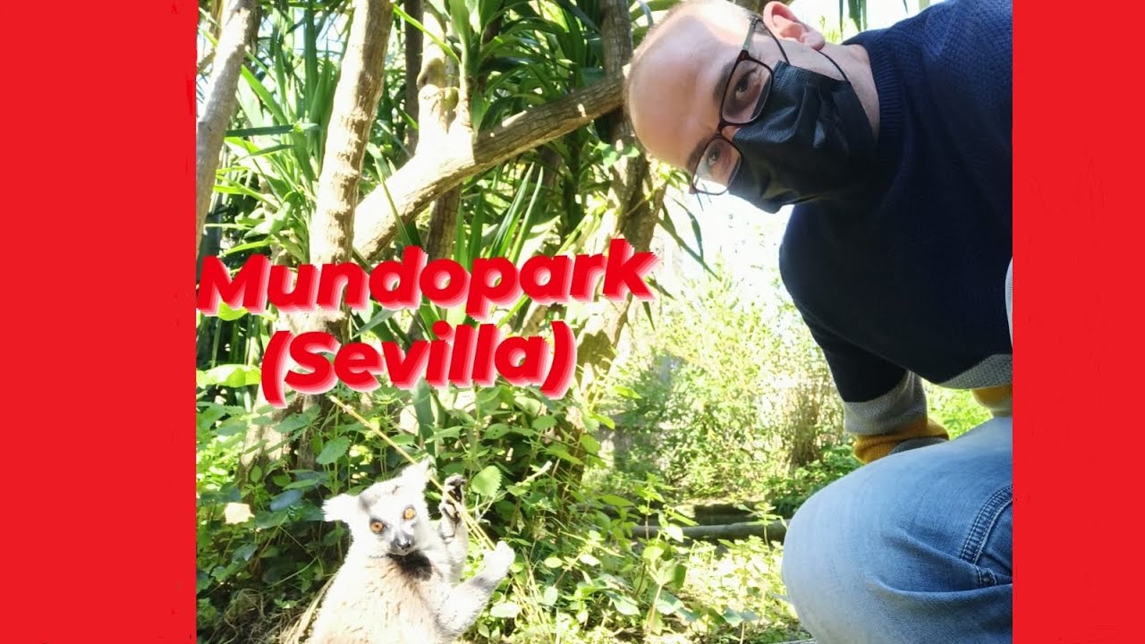 Zoo de Sevilla, MUNDOPARK (2021) Fundación Juan Luis Malpartida - YouTube