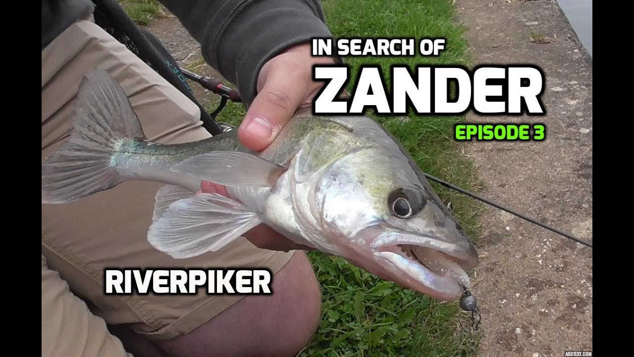 In search of zander - The Alien Fish EP3 (video 210) - YouTube