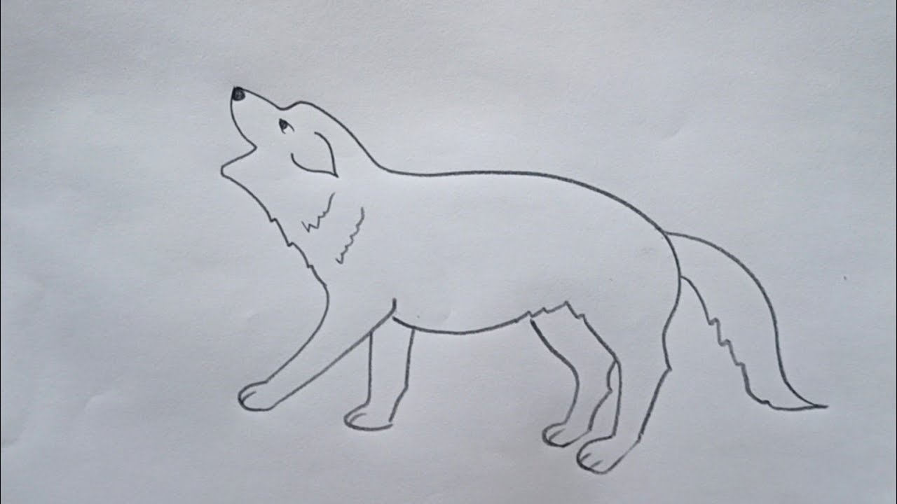 how to draw fox drawing easy step by step@Kids Drawing Talent - YouTube