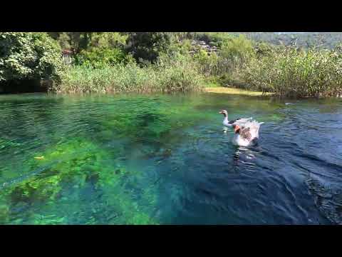 Mugla - Azmak Nehri - Ordekler Ve Berrak Su 4K Video