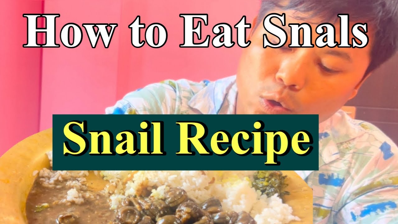 How to Eat Snails? Snails Recipe || After a long time eating Snails ...