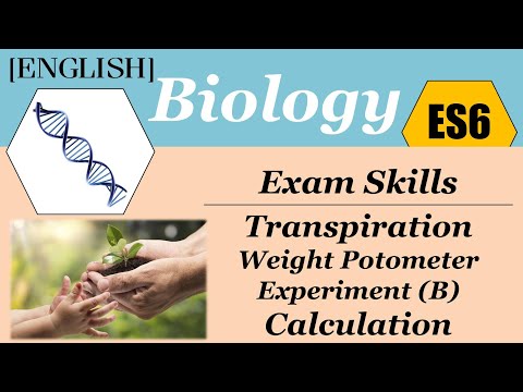 【Bio Calculation】破解SBA │ DSE BIO │ Examination Skills 6 - Weight ...