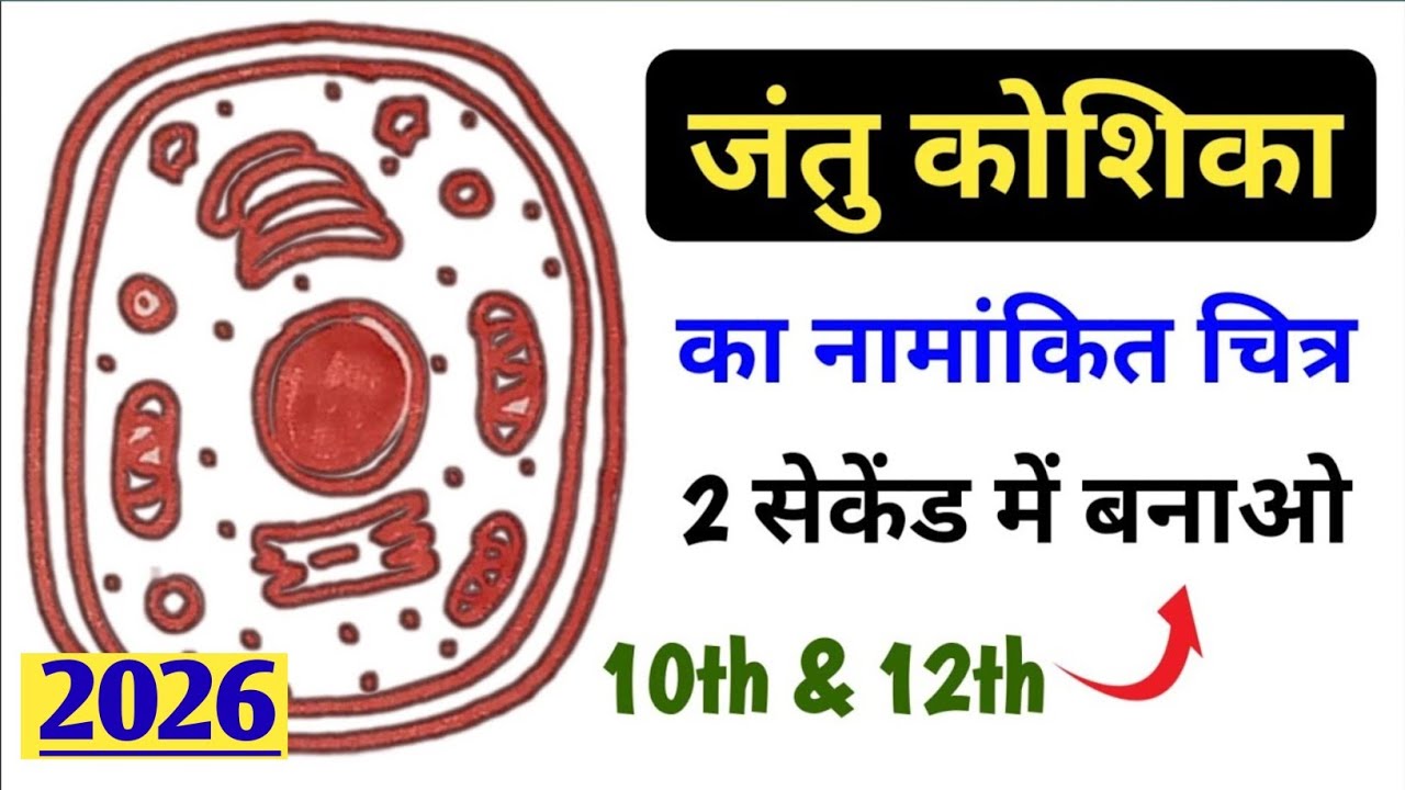 जंतु कोशिका का चित्र कैसे बनाएं,/Animal Cell Drawing Easy,/Jantu ...