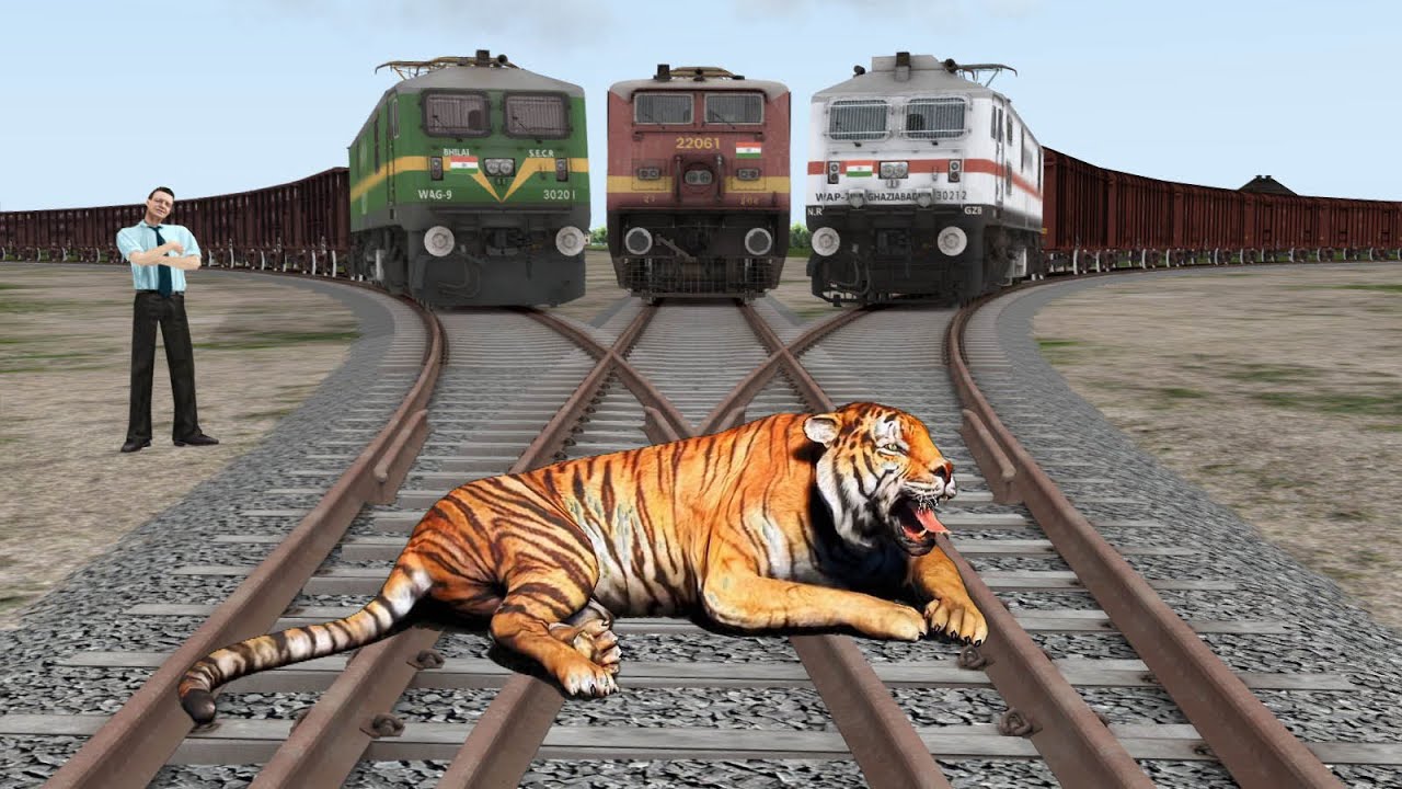 Giant Tiger🐅 Vs Three Trains🔥 || Stops the train - Train simulator 2025 ...
