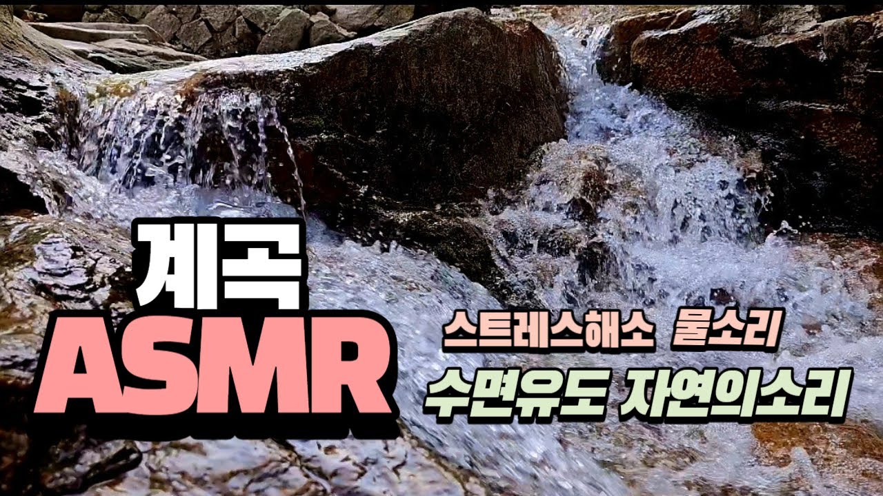 더위를 날려보내는 시원한 계곡 물소리 스트레스해소 자연의 소리 수면유도 백색소음 집중 명상 힐링 휴식 마음의 치유 불면증 완화 Asmr Youtube