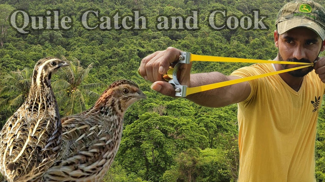Quile Hunting Catch and Cook - YouTube