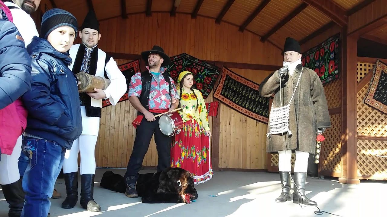 Letea Veche(3) - YouTube