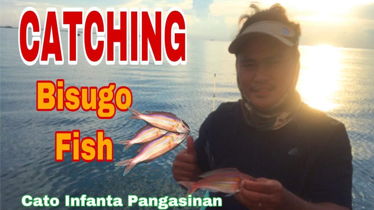 CATCHING BISUGO FISH. | BUHAY PROBINSYA| DODONG's IDEA - YouTube