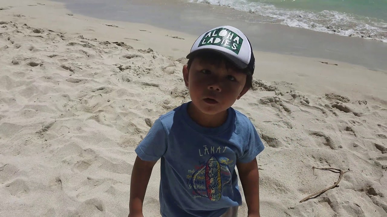 Family Home Video. HFD rescue guy on a sailboard. May 31, 2020 - YouTube