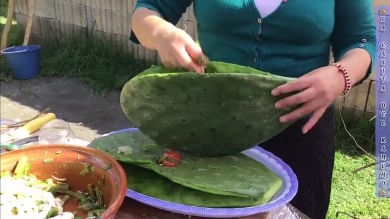 🏡PENCAS DE NOPAL RELLENA RECETA DE MI ABUELA.🏡 - YouTube