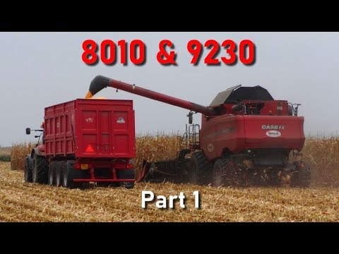 Case IH 9230 & 8010 - Corn harvest 2019 - Part 1 /Optum/Puma/6R/8330 ...