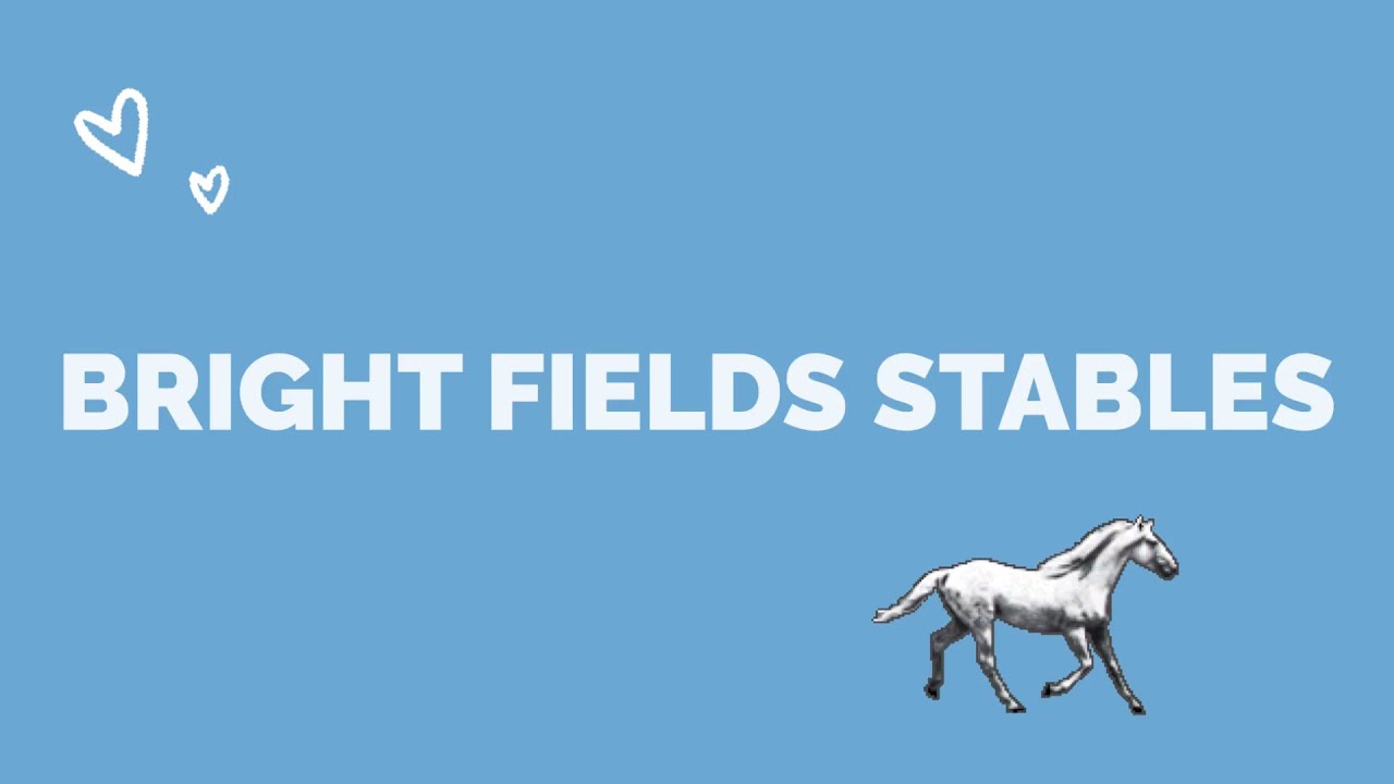 Bright Fields Stables INTRO CONTEST (Yup, another one 😂) - YouTube