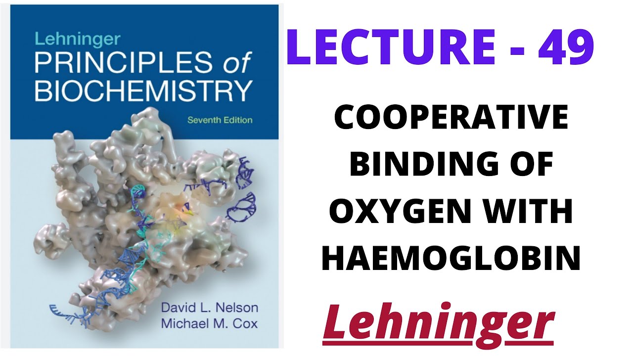 Cooperative Binding Of Oxygen ||Lecture - 49||Lehninger biochemistry ...