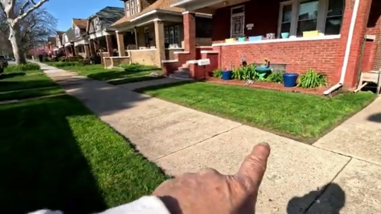How to get the perfect lawn AKA Green grass #greengrass - YouTube