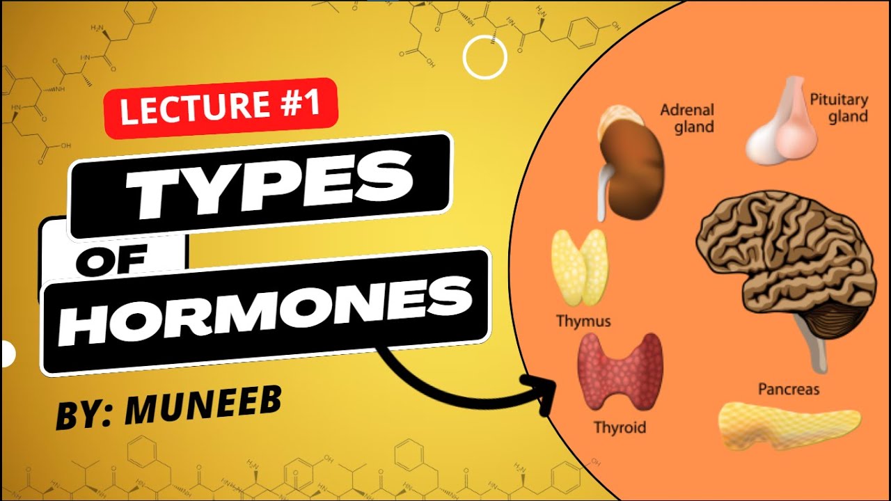 Hormones - Lecture 1 | Classification of Hormones | Endocrine System ...