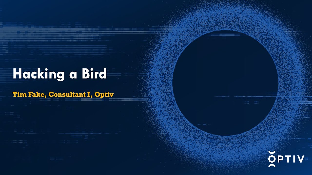 Hacking a Bird - YouTube