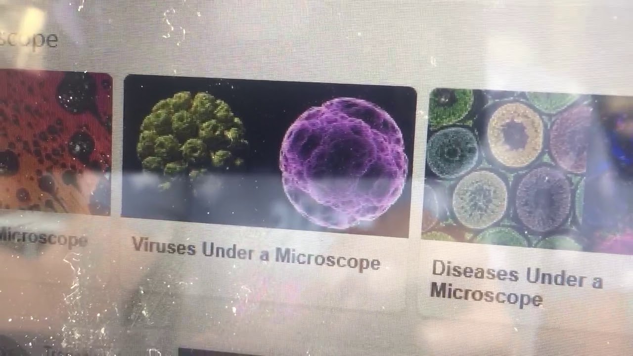 SLIME UNDER A MICROSCOPE!! ;) ;) - YouTube