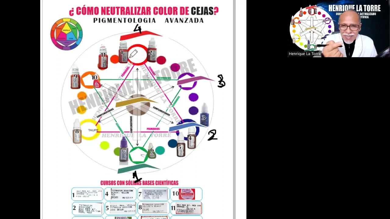 COLORIMETRIA y PIGMENTOLOGIA APLICADA AL MICROBLADING MICROPIGMENTACIÓN ...