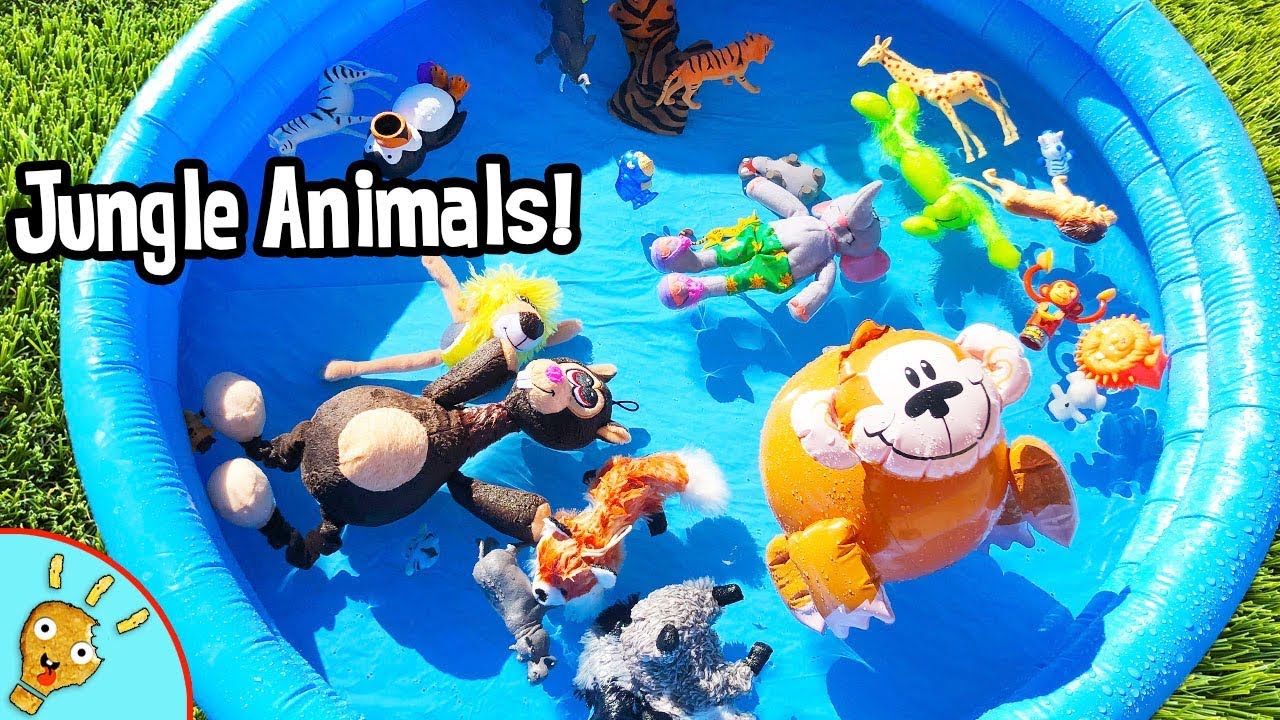 LEARN Jungle + Zoo Animal Names! Mini Water Pool with Squishee Nugget ...