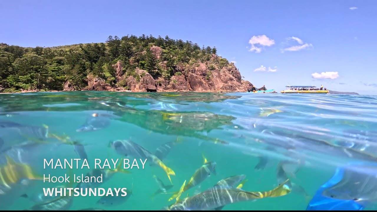 3 Manta Ray Bay - YouTube