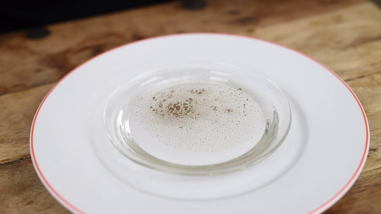 Experiment "Der blitzschnelle Pfeffer" - YouTube