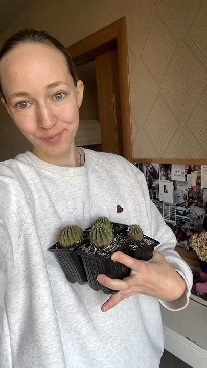 Раздала соседям кактусы с глазами👀 - YouTube