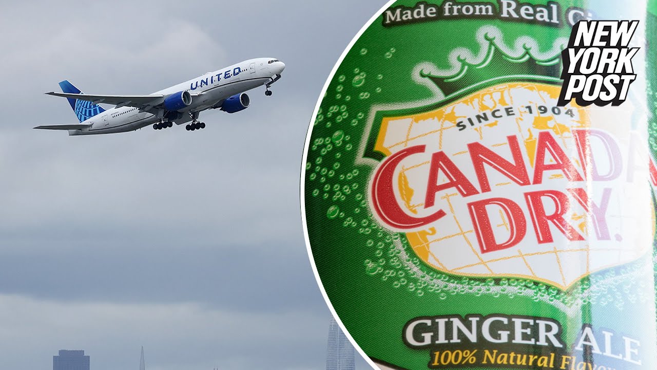 The scientific reason ginger ale is one of the most popular drinks on ...