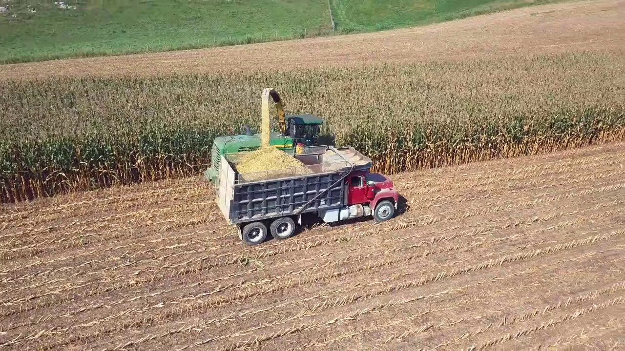 Corn Silage Cutting 2018 - YouTube