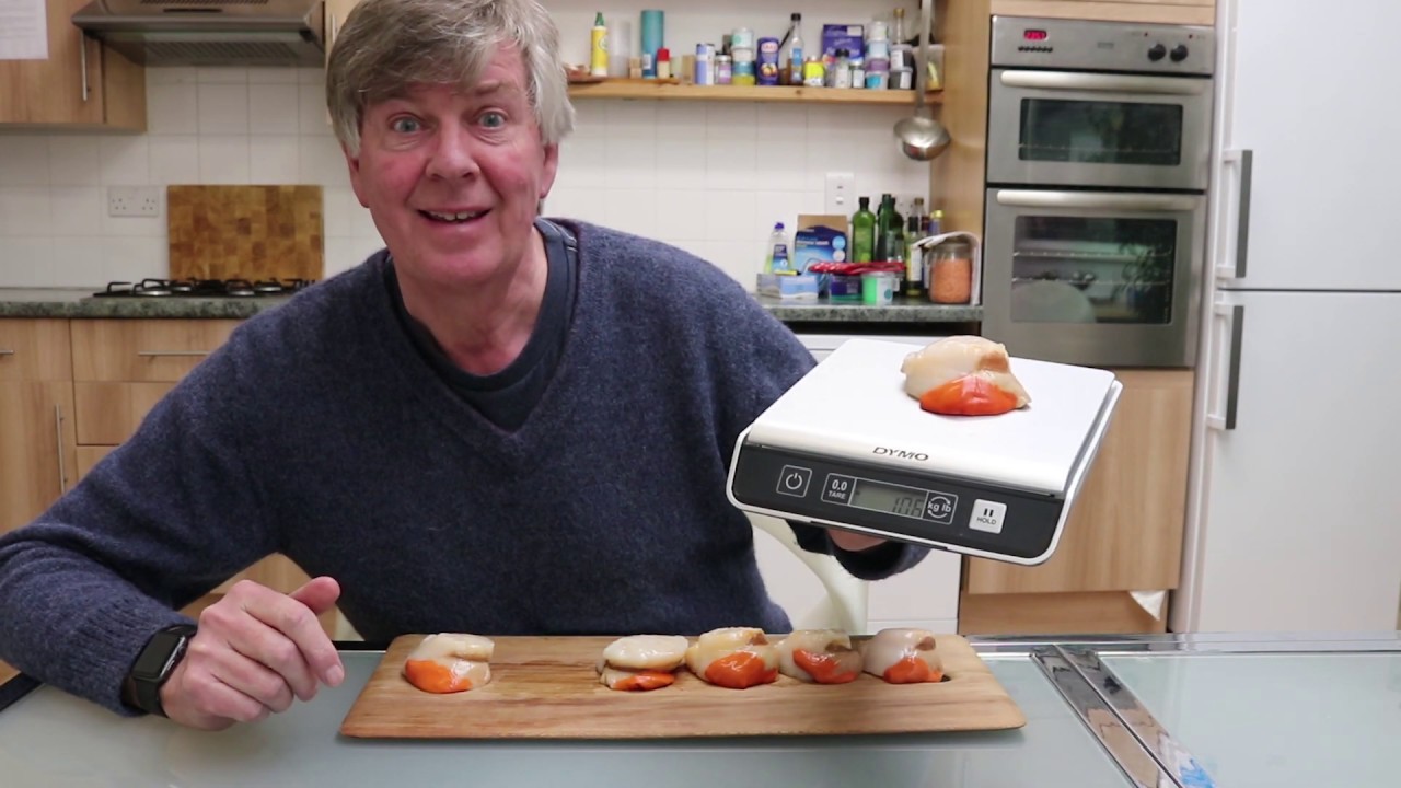 Biggest Scallops! The biggest we've seen. - YouTube