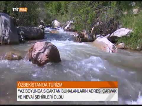 Özbekistan'daki Sarmışsay Vadisi'nde Kayalara Çizilen Figürler - TRT Avaz Haber