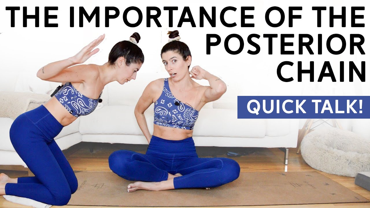 The Posterior Chain + How to Modify Prone Work - Intro to Pilates ...