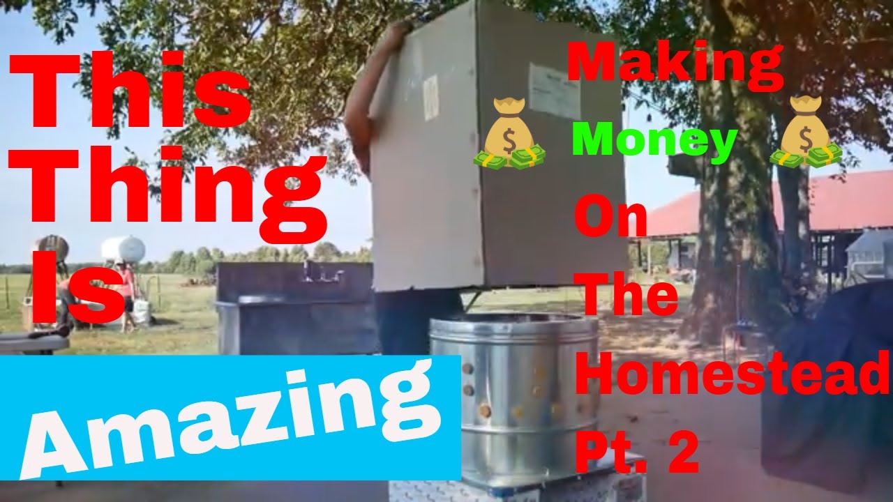 How to BUTCHER a Chicken : Step by Step Chicken Butchering and ...