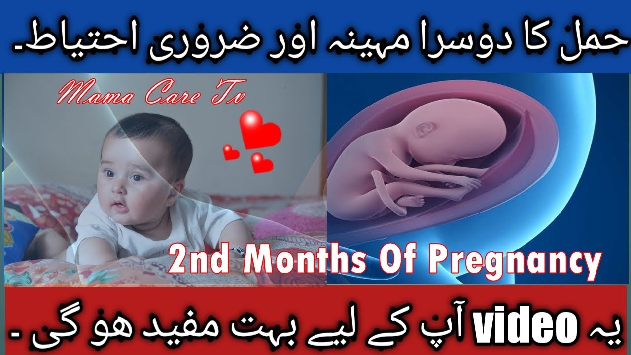 2nd Month Of Pregnancy Complete Information. - YouTube