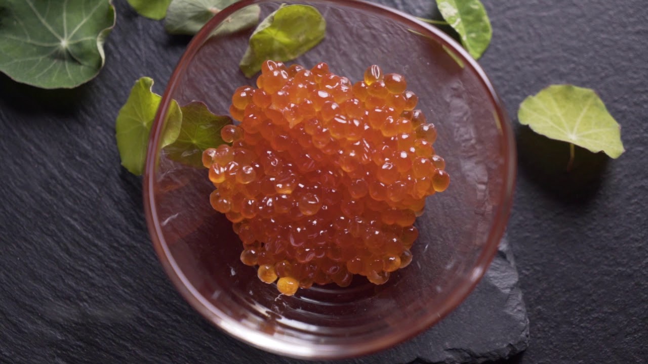 ASKO steam-powered cooking - Nordic Fish Terrine - YouTube