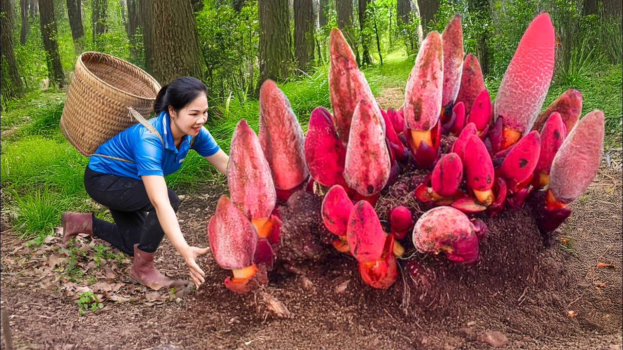 Harvesting Fire of the Forest God for to cook delicious dishes | 7 Day ...