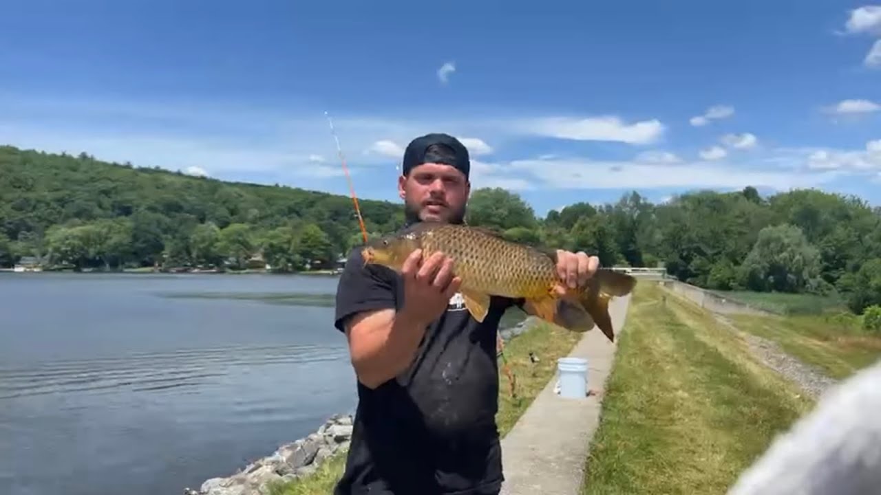 🛑Live Carp Fishing #fishing - YouTube