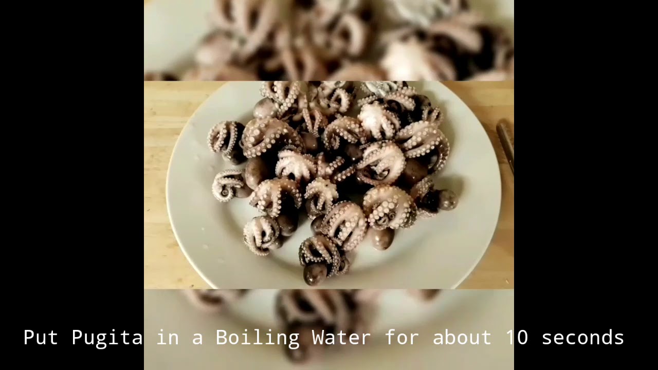 Baby Pugita Recipe - YouTube