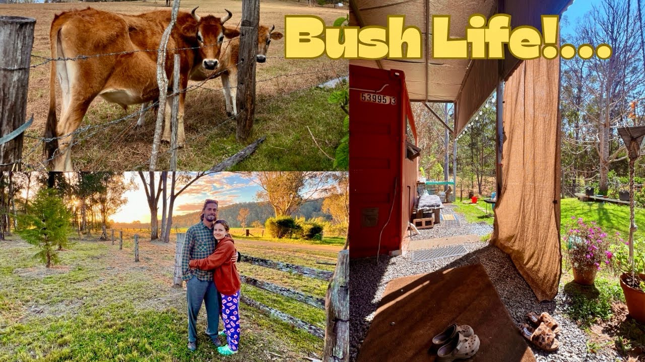 Bush Life! 🐮🤠 - YouTube