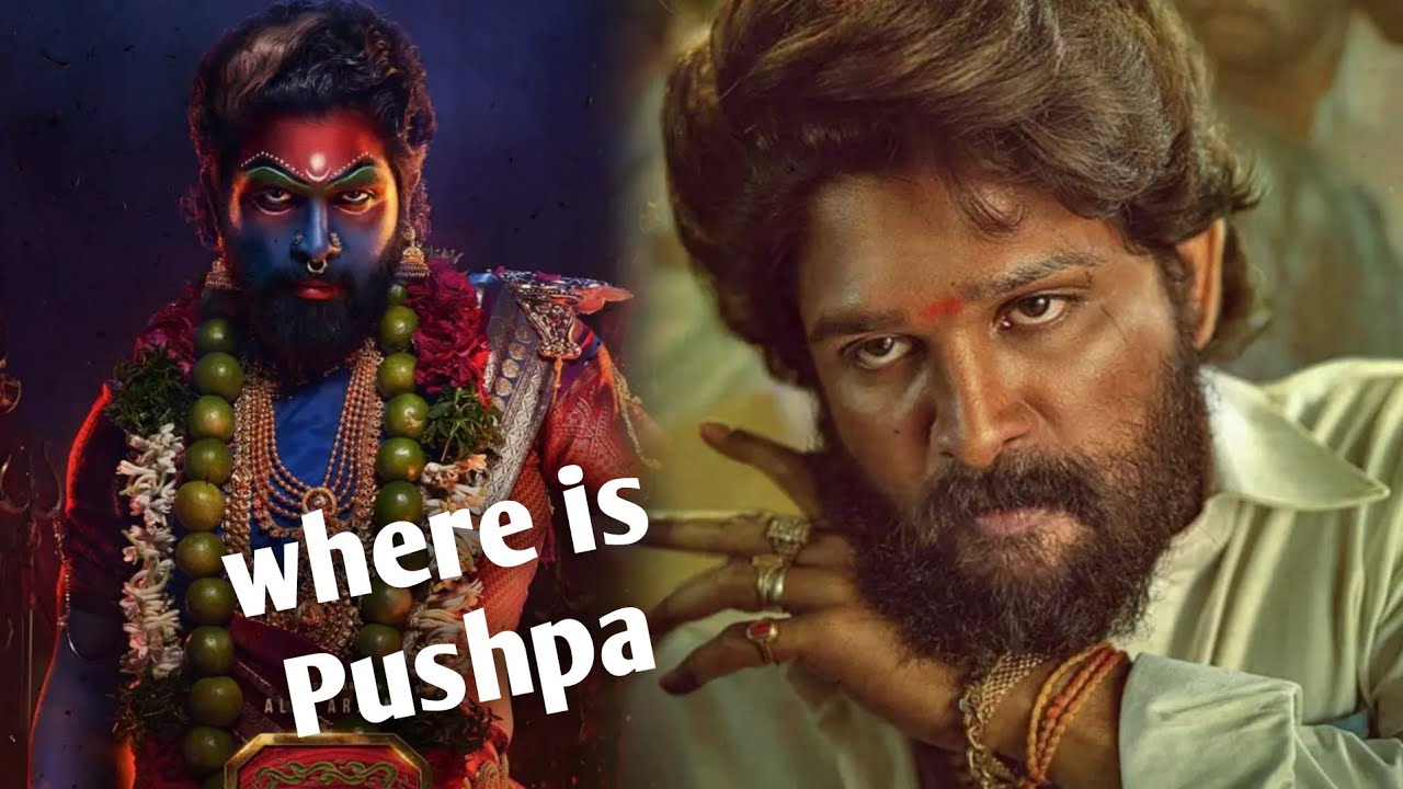 pushpa 2 The Rule teaser trailer 🔥🔥 review | surender Koli | Allu Arjun ...